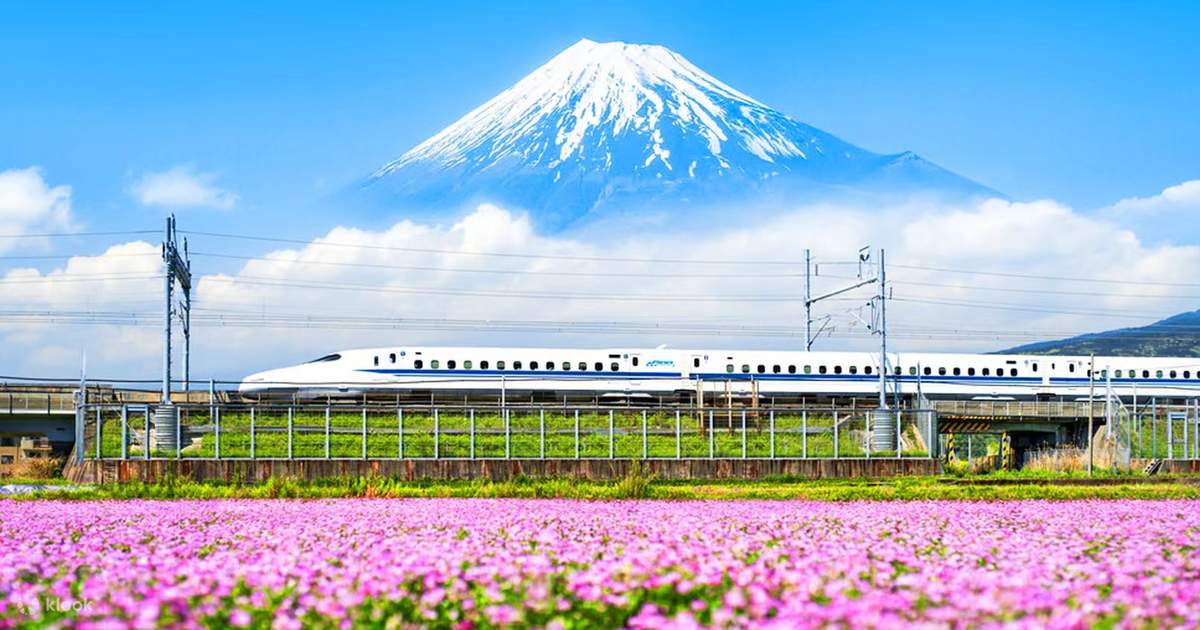 Classic Day Trip to Mount Fuji & Hakone | Fuji Five Lakes 5th Station, Hakone Ropeway, Owakudani ...